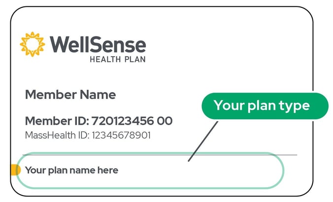 Get Started | WellSense Health Plan